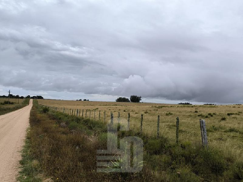 Venta de Campo en MALDONADO ( Chacra )